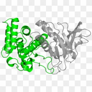Free Uub Png Png Transparent Images - PikPng